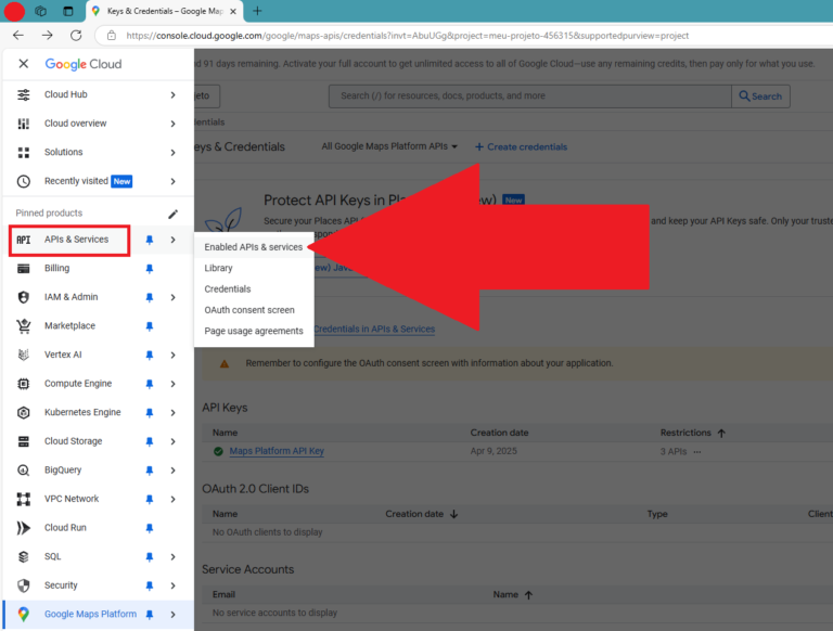 Como obter uma Chave de API do Google Maps – TBN2NET